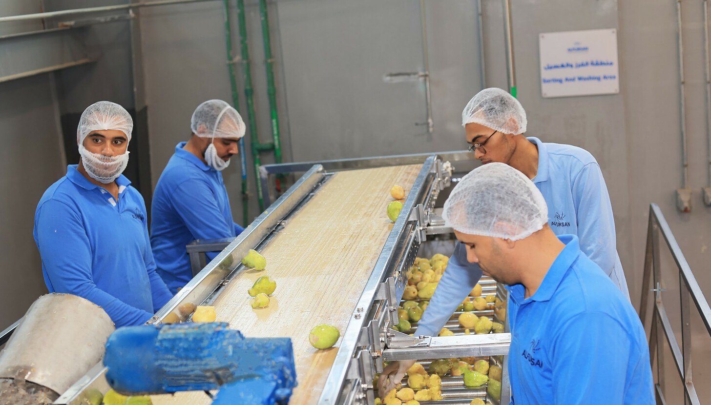 Egyptian Aseptic Guava Puree for Export – Certified Supplier | Al Fursan