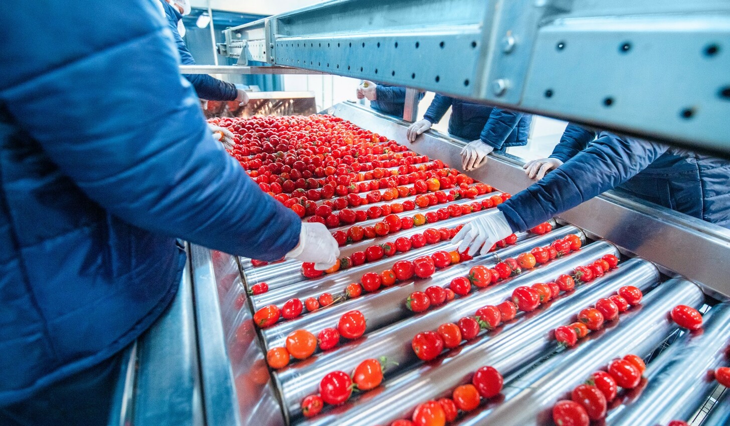Aseptic Tomato Paste Drums – 230 kg Cold Break Aseptic Packaging from ...