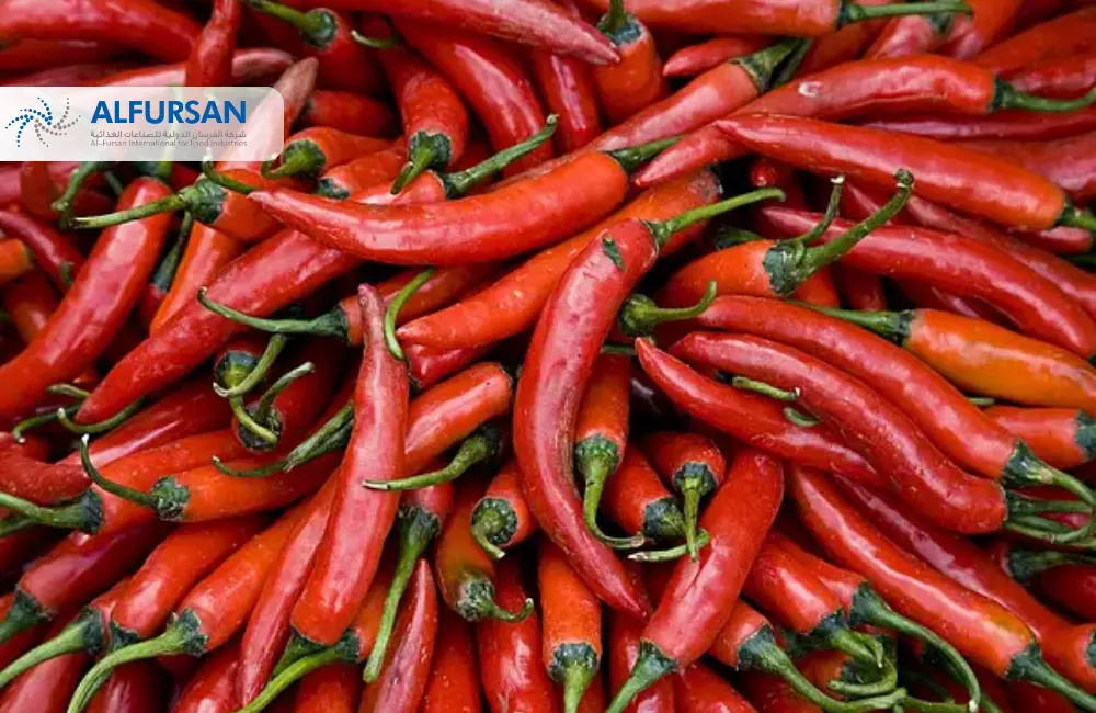Hot Chili Puree Specifications for Industrial Food Use
